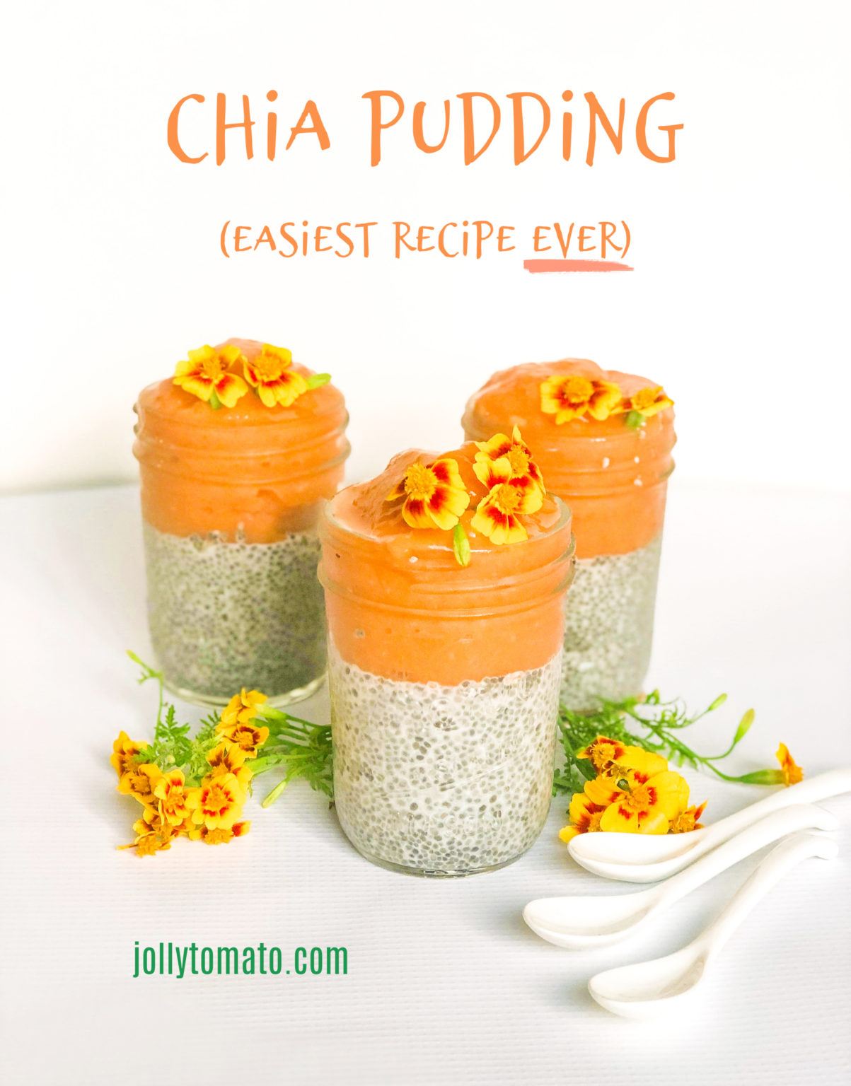 Easiest Recipe Ever: Chia Pudding - Jolly Tomato