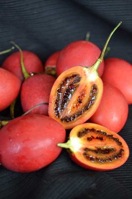 Tamarillo Tart - Jolly Tomato
