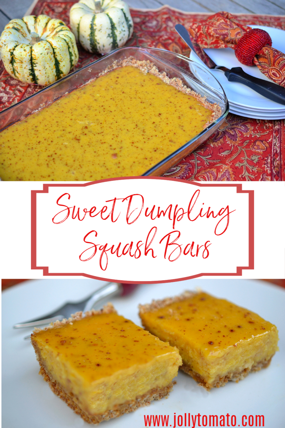 Sweet Dumpling Squash Bars - Jolly Tomato