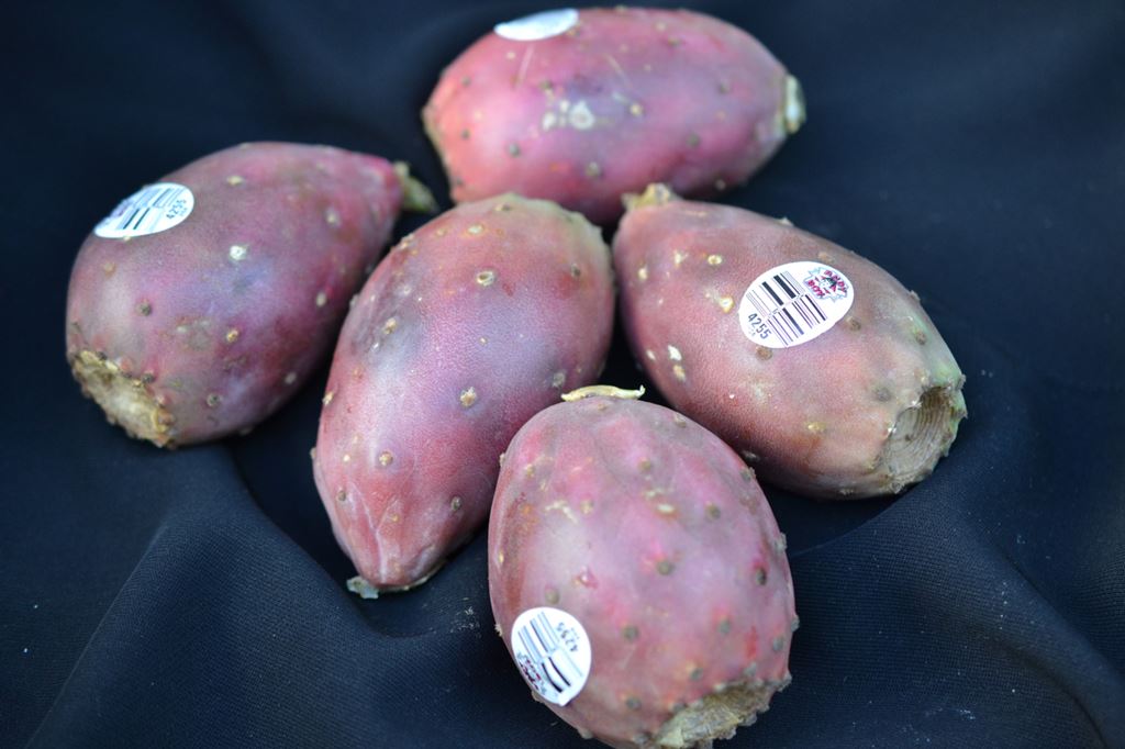 Freaky Fruits for Fall - Jolly Tomato