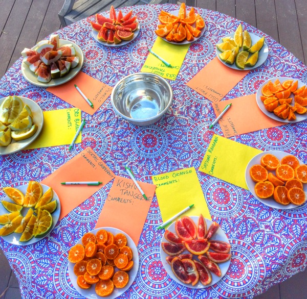 The Great Citrus Taste Test 2015 - Jolly Tomato