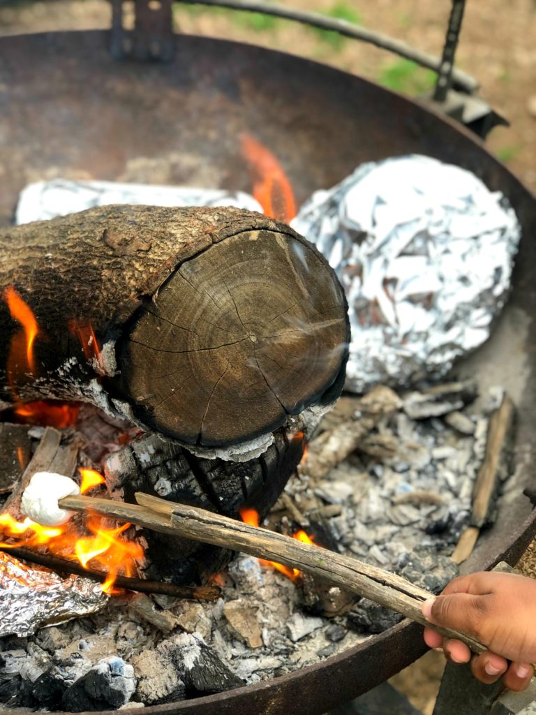 Camping With the Camp & Cabin Cookbook - Jolly Tomato