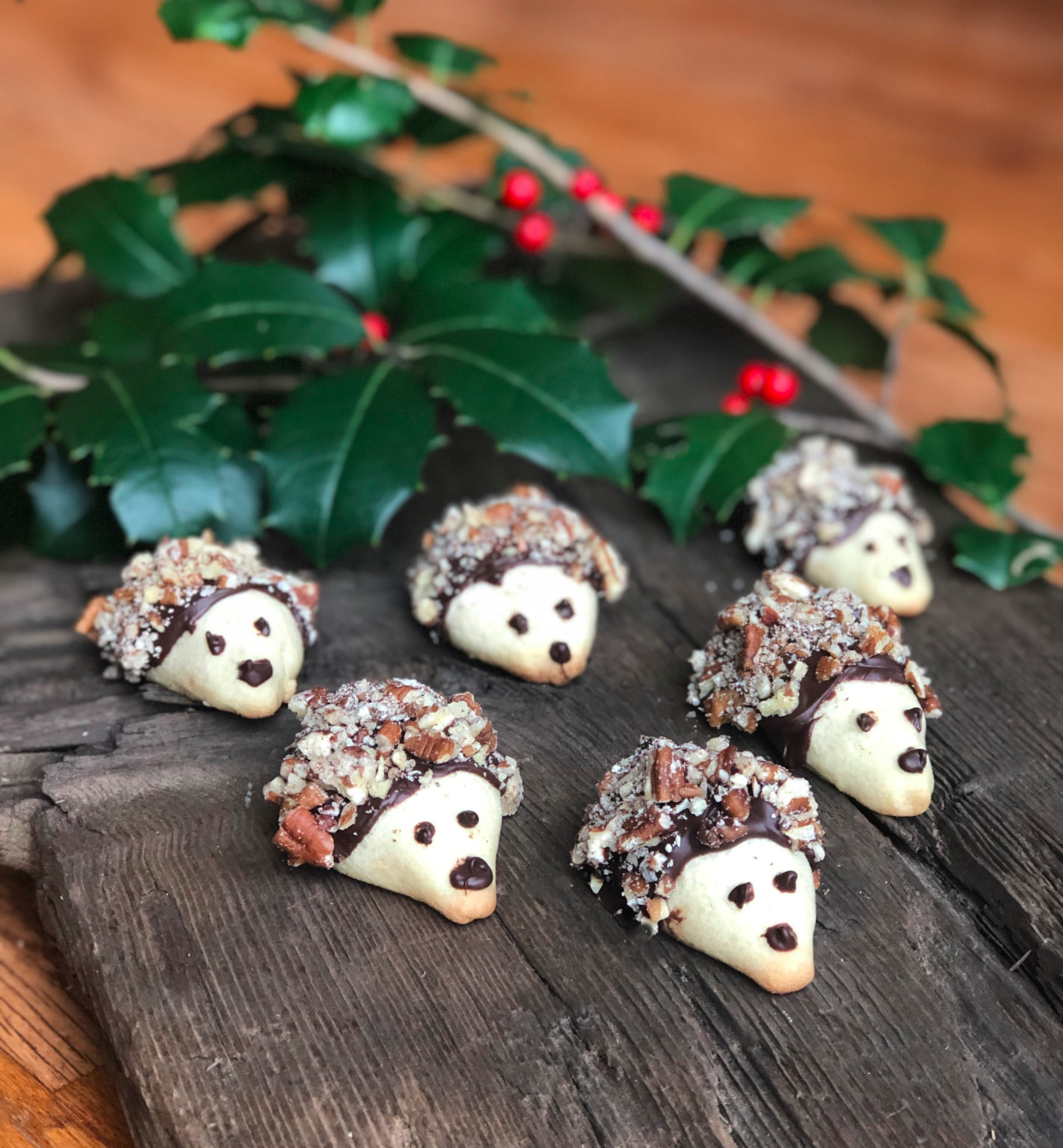 Hedgehog Cookies – So Easy and Adorable - Jolly Tomato