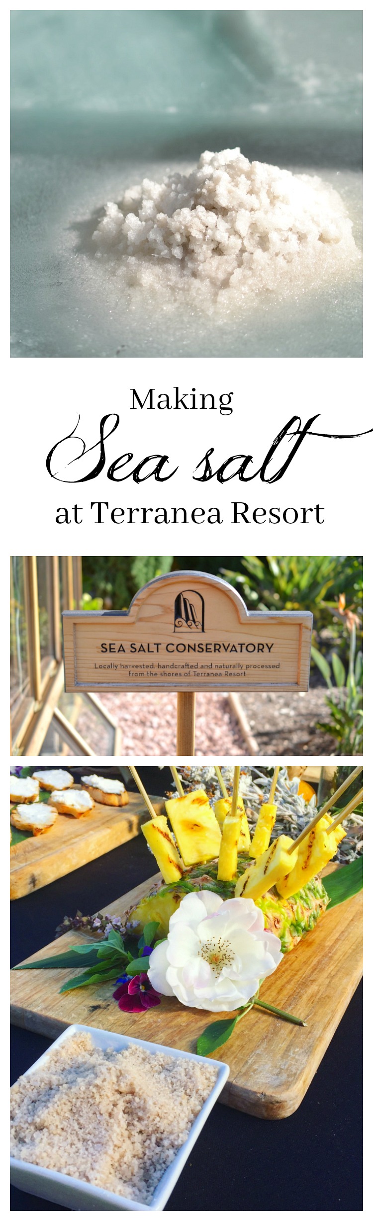 Sea Salt, Straight From The Ocean - Jolly Tomato